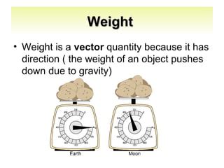 Scalar And Vector Quantities PPT