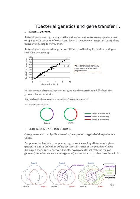 Bacterial Genetics Gene Transfer Tbacterial Genetics And Gene Transfer Ii