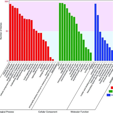 Go Enrichment Analysis In Biological Process Bp Cc Mf For All Degs
