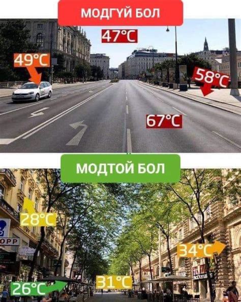 보르마 Ногоон байгууламж түүний хүрээлэн буй орчинд үзүүлэх таатай мэдрэмж ашиг тус ☘️🌸🌍