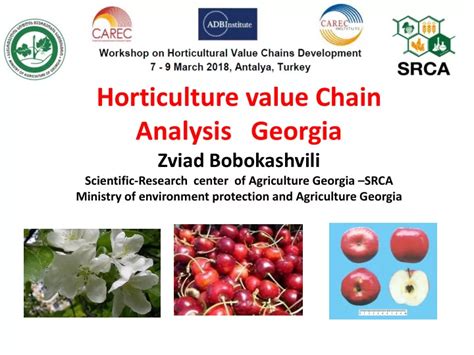 Ppt Horticulture Value Chain Analysis Georgia Zviad Bobokashvili
