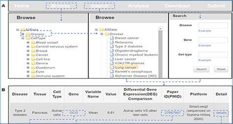 Sc2disease A Manually Curated Database Of Single Cell Transcriptome For Human Diseases Rna