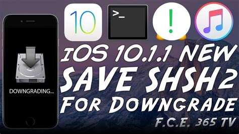 Ios 1011 How To Save Shsh2 Blobs For Future Ios Downgrades Tsschecker Youtube