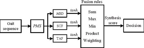 Figure 3 From A Score Level Fusion Framework For Gait Based Human Recognition Semantic Scholar