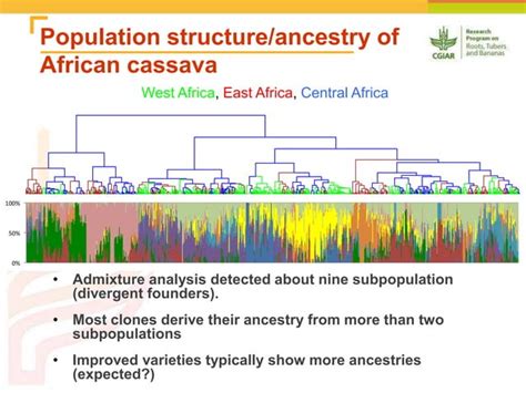 Complex Genetic Structure Of African Cassava And Genetic Architecture Of Key Traits Pptx