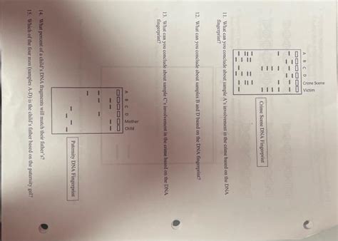 solved 11 what can you conclude about sample a s