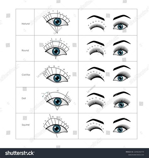 Free Printable Eyelash Extension Pattern Charts Pattern And Stencils