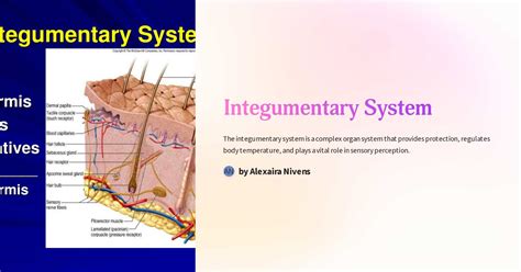 Integumentary System