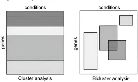 figure 1 from triclustering implementation using hybrid δ trimax