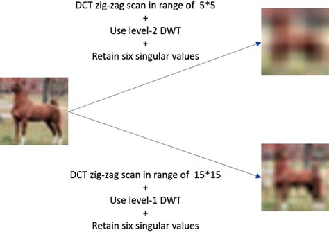 Robust Deep Convolutional Neural Network Against Image Distortions Apsipa Transactions On