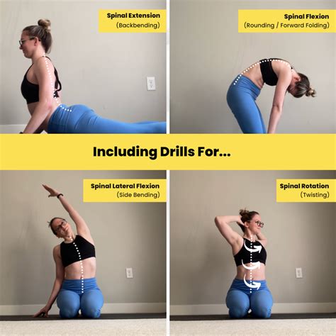 Back Flexion Stretch