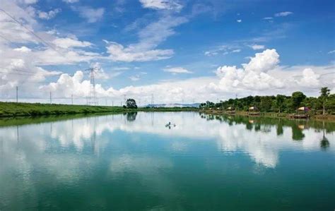 全球生态学领域学者研究报告 知乎