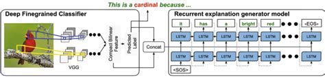 A Joint Classification And Explanation Model [7] Visual Features Are Download Scientific