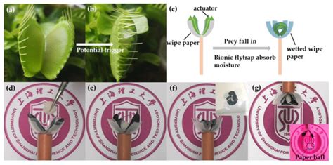 Applied Sciences Special Issue Smart Materials And Structures