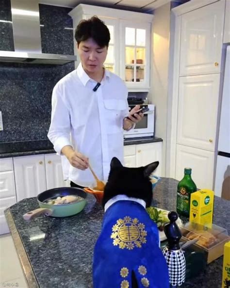 박수홍 한복 곱게 차려입은 반려묘 다홍이와 찰칵 박수홍이랑행복해다홍 노트펫