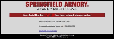 My XDs Has Been Fixed Triangle Tactical