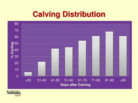 Ppt Reproductive Management In Beef Cattle Estrous Synchronization And Ai Powerpoint