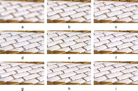 Esrgan Dp Enhanced Super Resolution Generative Adversarial Network With Adaptive Dual