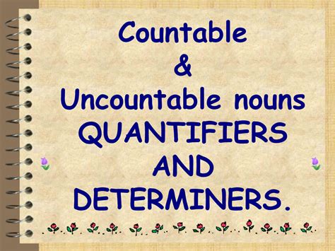 Solution Pembahasan Quantifiers And Determiners Studypool