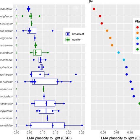 Plasticity Of Leaf Mass Per Area Lma To Light Availability Download Scientific Diagram