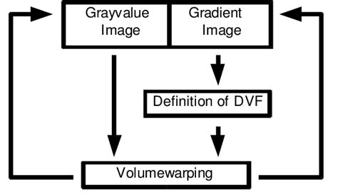 Diagram Of General Work Flow Download Scientific Diagram