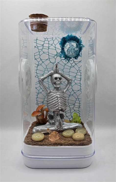 Yoga Skeleton Jumping Spider Mantis Enclosure Etsy