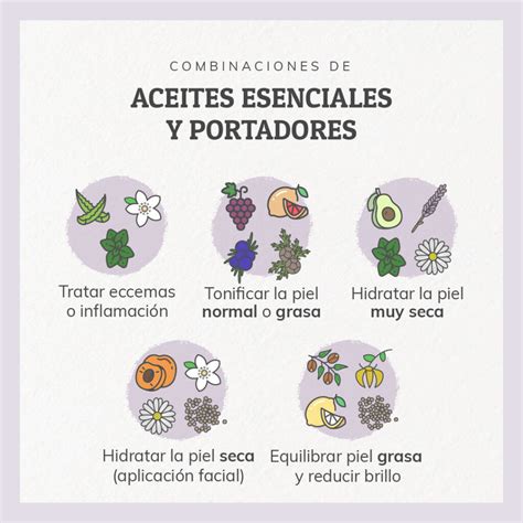 Diferencia Entre Html Y Xml Pediaexpertos