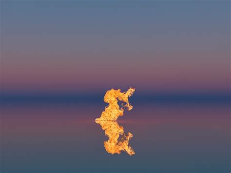 Blaze Murray Fredericks