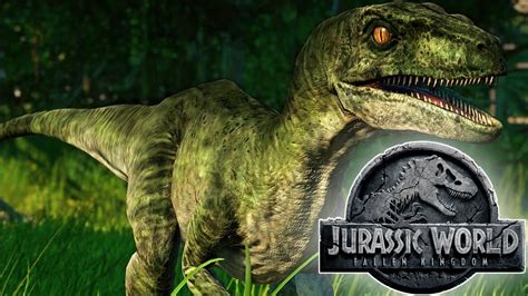 The Forgotten Male Velociraptor In Fallen Kingdom Green The
