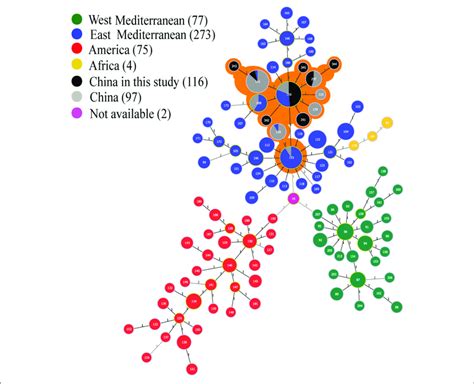 minimum spanning tree for b melitensis using mlva 11 data with the
