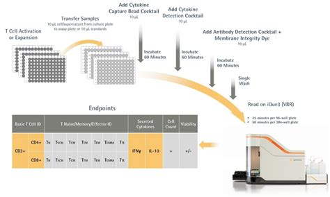 T Cell Memory Cell And Cytokine Profiling Kit
