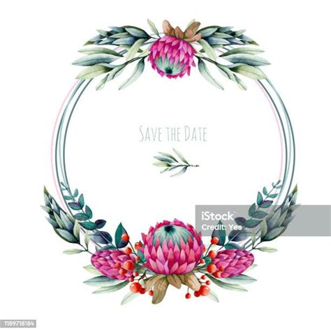 수채화 핑크 프로 테아 꽃과 녹색 가지 손으로 흰색 배경에 그린 라운드 프레임 날짜 카드 디자인을 저장 겨울에 대한 스톡 벡터