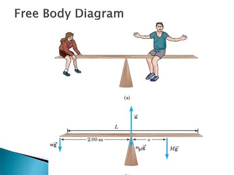 Understanding Equilibrium Through Free Body Diagrams