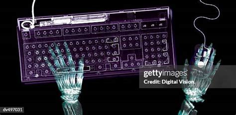 Skeleton Keyboard Photos And Premium High Res Pictures Getty Images
