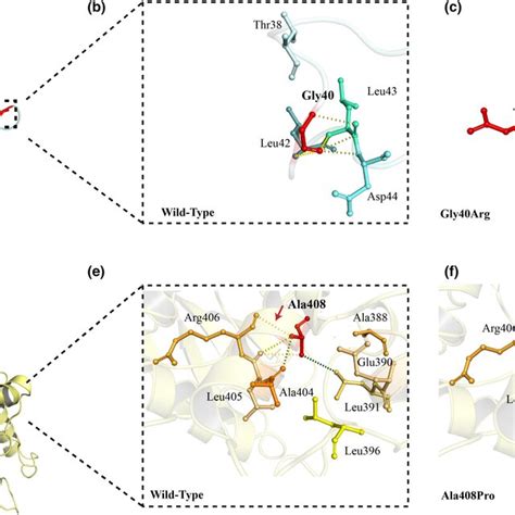 Prediction Of Interactions Between Amino Acid Residues A