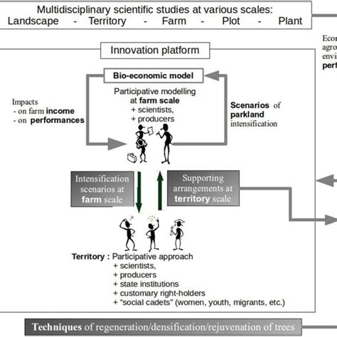 Systemic And Participative Modelling Approach Proposed For Further Download Scientific Diagram
