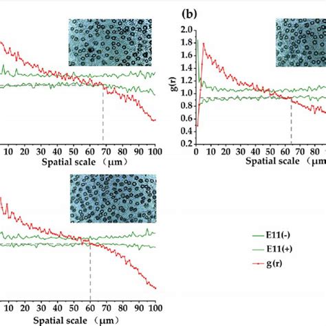 Effect Of Atmospheric Particulate Matter On Spatial Distribution Download Scientific Diagram