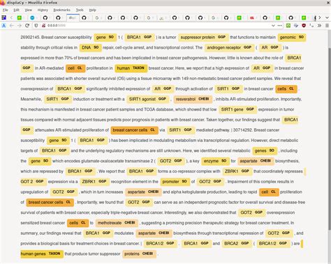 How To Visualize Named Entities In Custom Colors