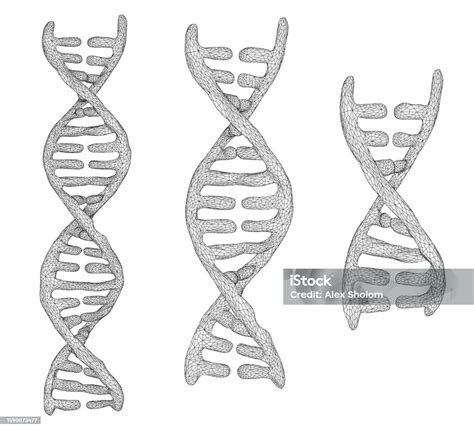 벡터 인간의 Dna의 일부 3d 삼각형 추상 스타일 Dna에 대한 스톡 벡터 아트 및 기타 이미지 Dna 0명 3차원 형태 Istock