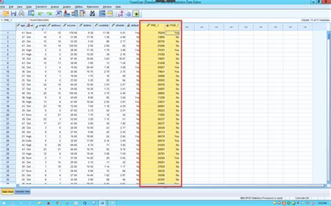 Spss Spreadsheet For In A Spreadsheet Program How Is Data Organized Beautiful Advanced Db