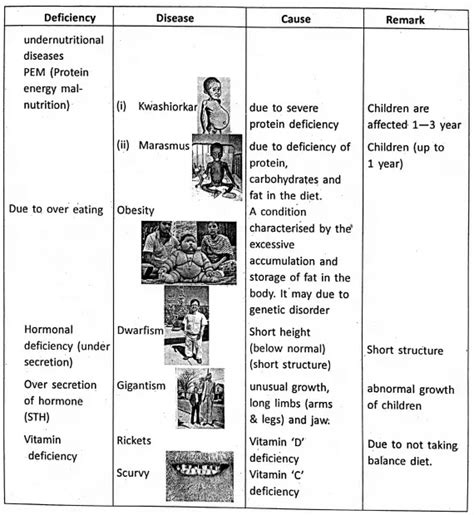 Wbbse Notes For Class 6 General Science And Environment Chapter 8 The Human Body Wbbse Solutions