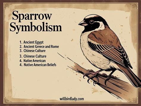 sparrow symbolism what this humble bird really represents