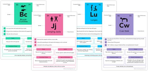 Pe Exercise Cheat Sheets American Coaching Academy