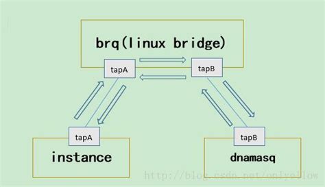 neutron linuxbridge 架构解析 neutron的linuxbrige csdn博客