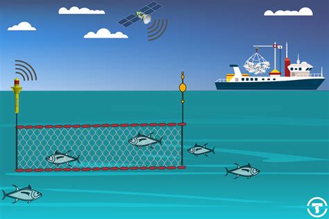 Southtek Gill Net Gear