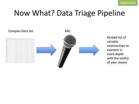 Ppt Detecting Novel Associations In Large Data Sets Powerpoint
