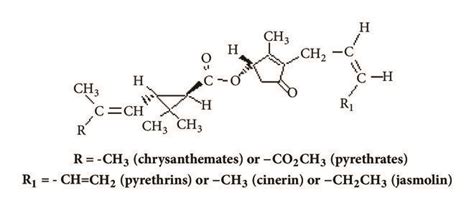 Chemical Structure Of Pyrethrins Pyrethrum Download Scientific Diagram