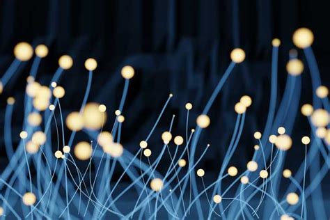 14 popular ai algorithms and their uses infoworld