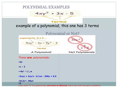 Ppt On Polynomial Ppt